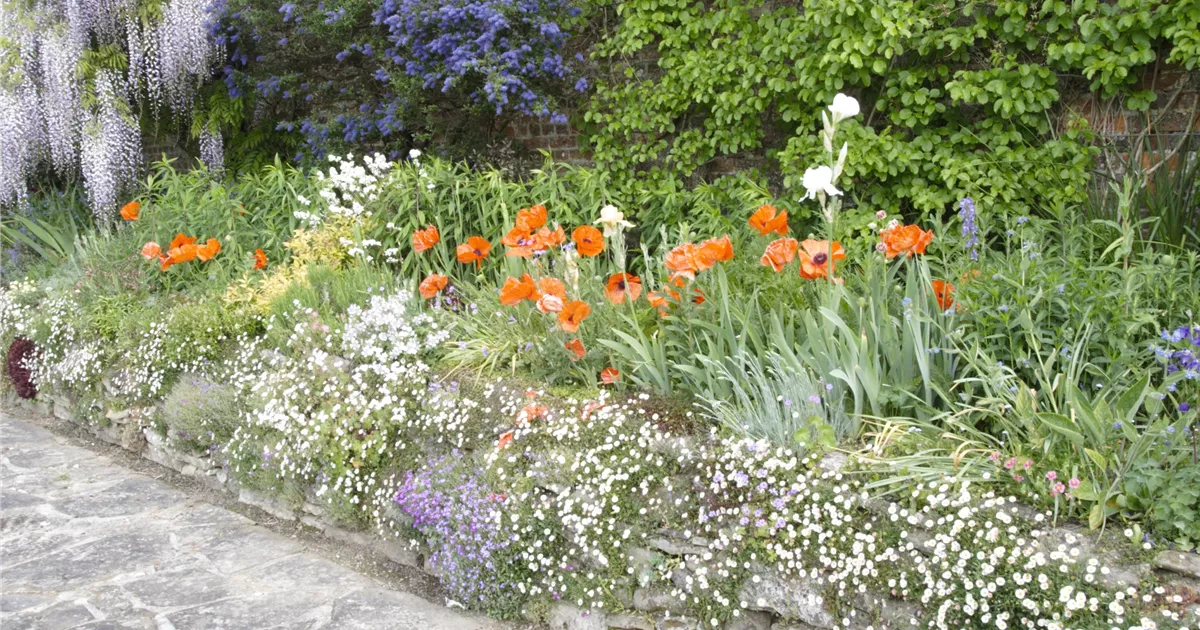 Auf dem Weg zum eigenen Staudengarten – So einfach geht’s! - Semper ...