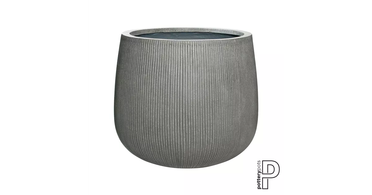 Pax, Ridged - Semper Verde Pflanzenzentrum Ullmer GbR